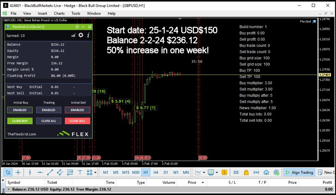 The Best Forex Algorithm 2024 - Flex Grid